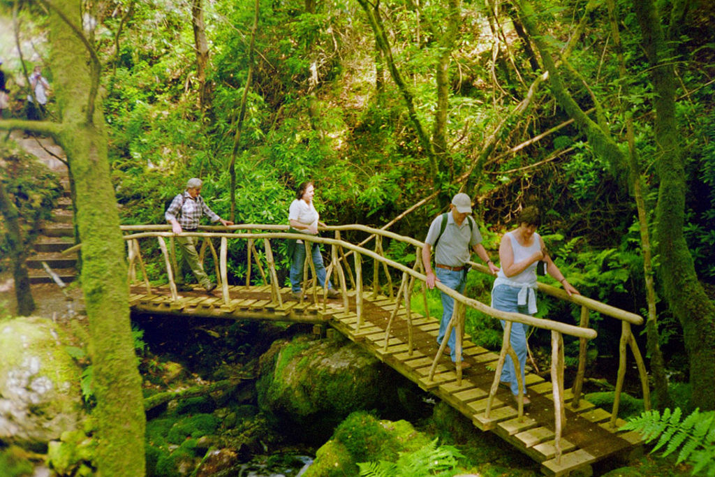 Cyfoeth Naturiol Cymru / Ystad yr Hafod, ger Aberystwyth