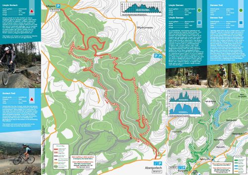 Brechfa Forest - Alchetron, The Free Social Encyclopedia